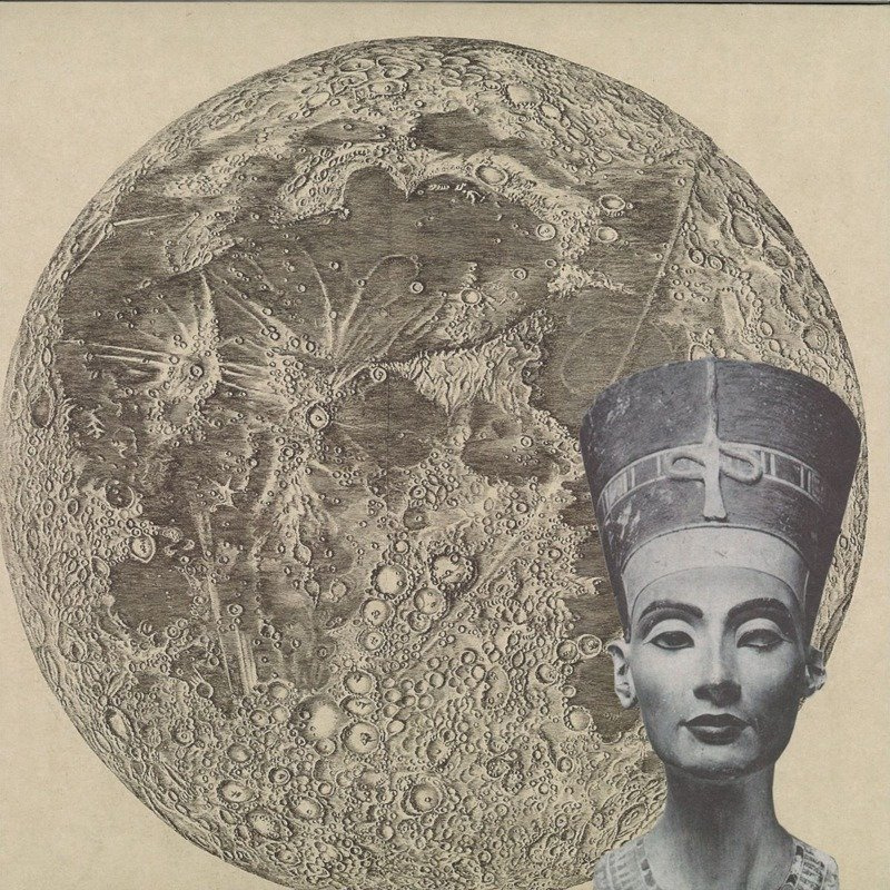 The Nile Files Fossils | Side One