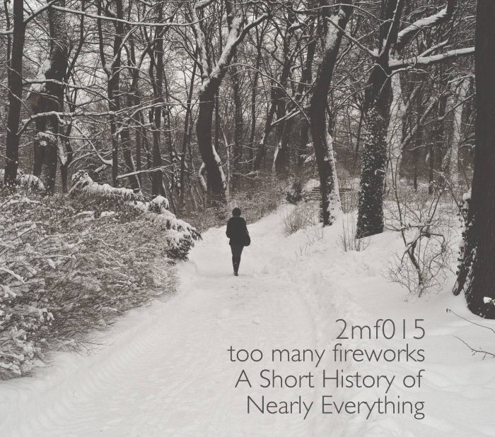 Too Many Fireworks - A Short History Of Nearly Everything Too Many ...