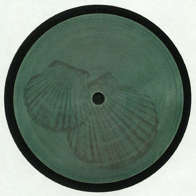 Pecten Gibbus Fossil Archive | Side One